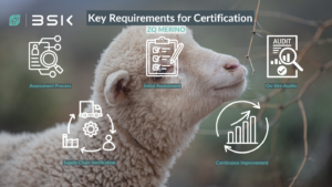 The Proven Benefits of The ZQ Merino Certification - The Ultimate Guide - BSK