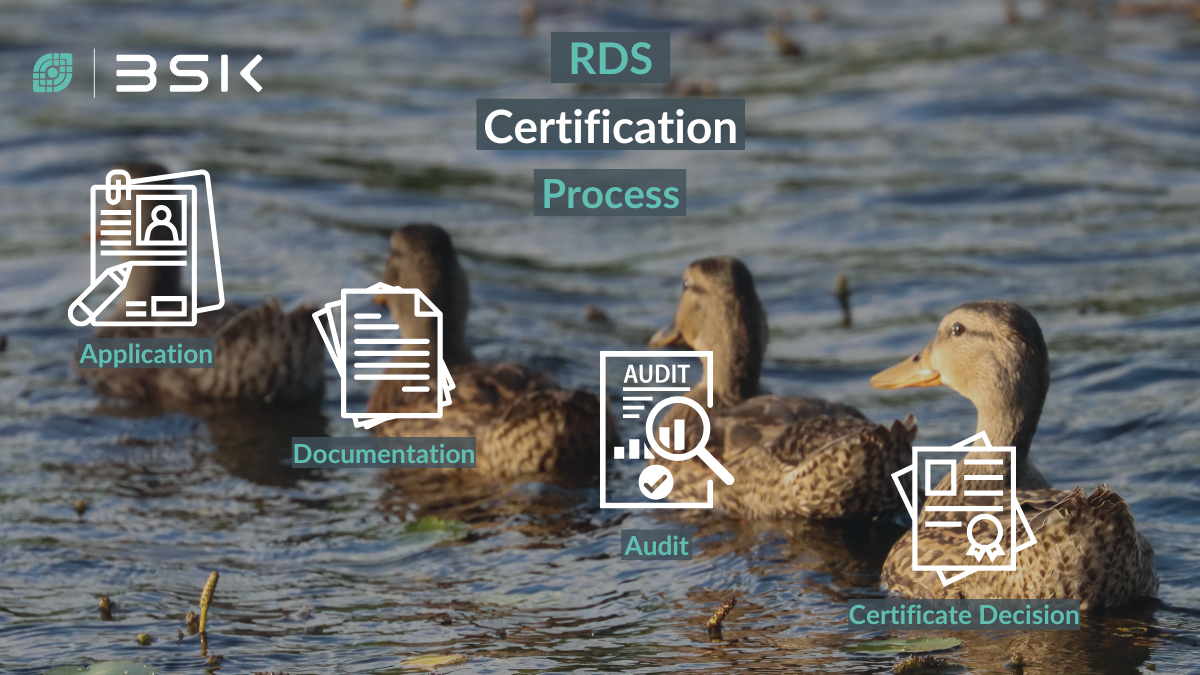 The Proven Benefits of The RDS Certification - The Ultimate Guide - BSK