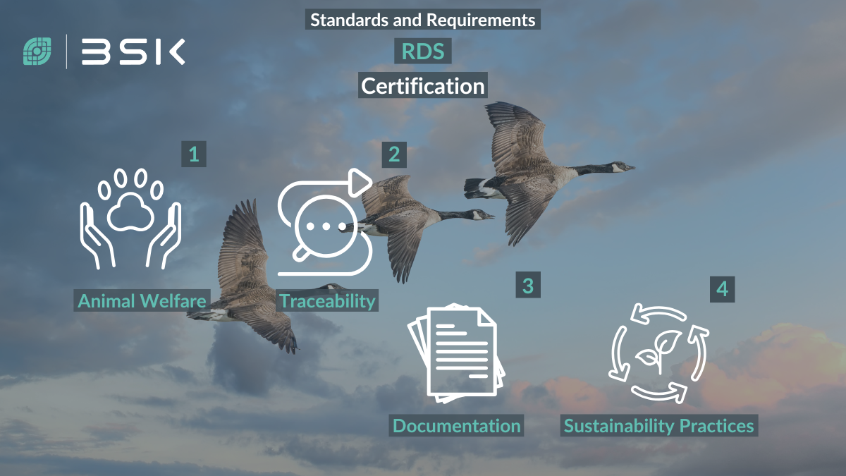 The Proven Benefits of The RDS Certification - The Ultimate Guide - BSK
